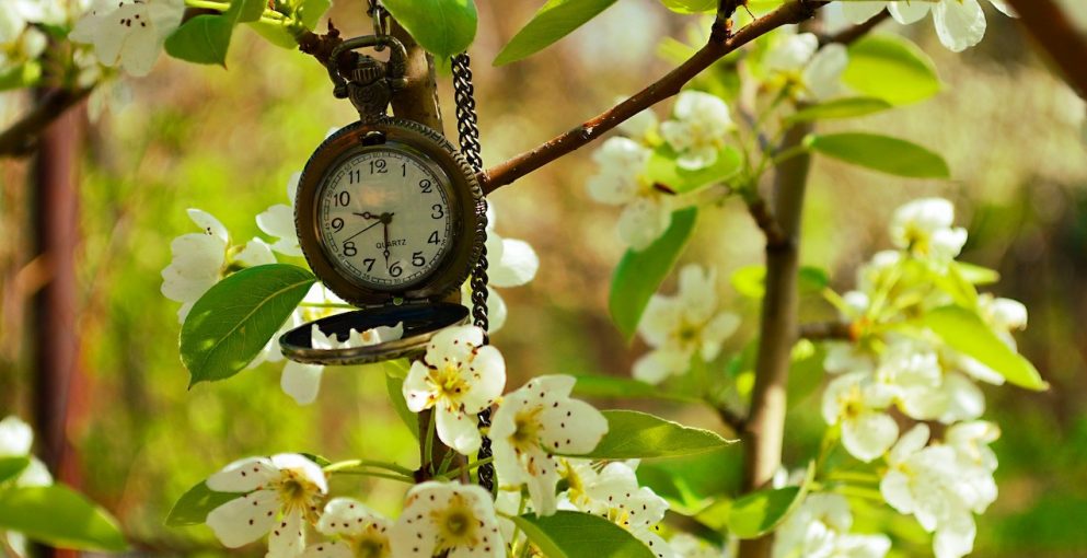 Do You Live In Linear Time or Natural Time? Why It Matters