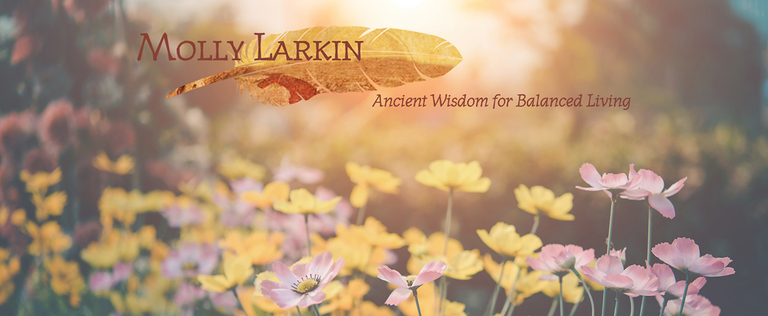 Molly Larkin, of The Wind Is My Mother, Blogs About Balanced Living