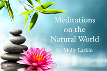 Molly Larkin, of The Wind Is My Mother, Blogs About Balanced Living