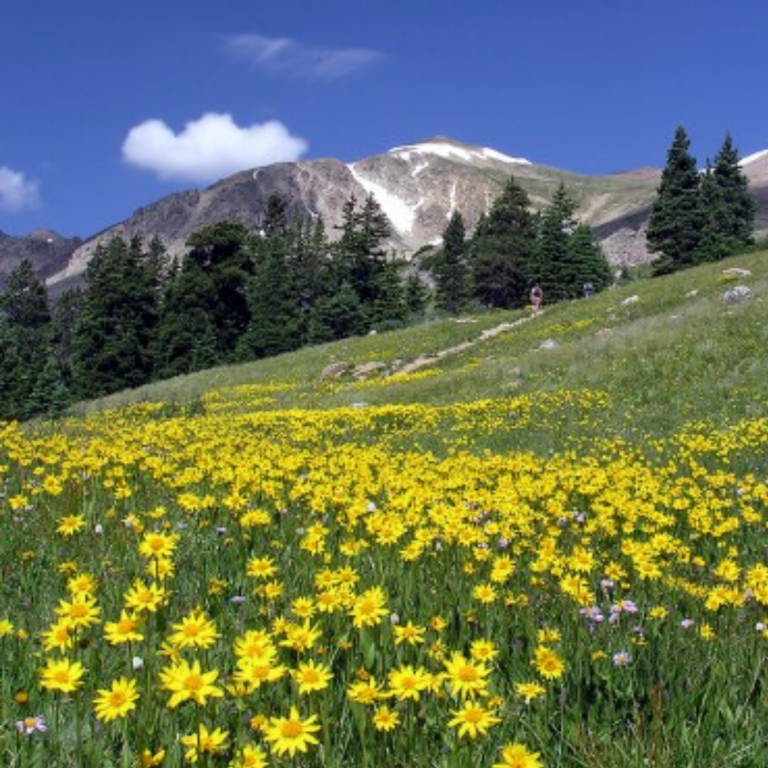 Molly Larkin, of The Wind Is My Mother, Blogs About Balanced Living