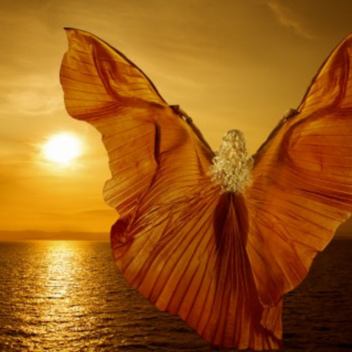 Molly Larkin, of The Wind Is My Mother, Blogs About Balanced Living